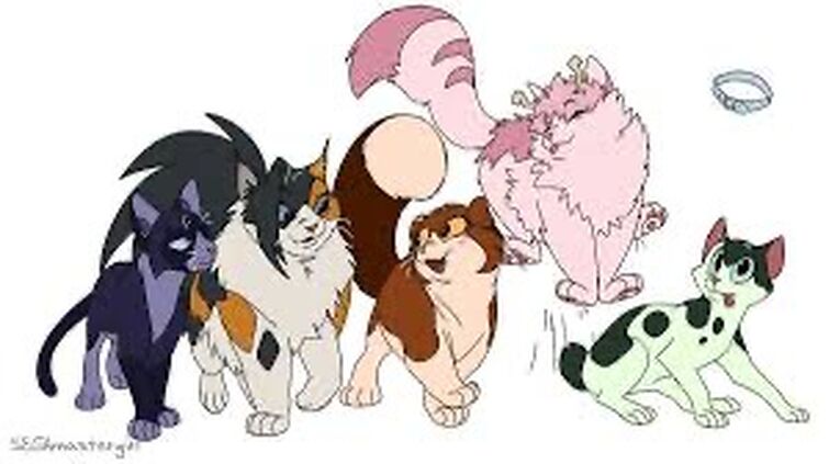 Has anyone thought of how Mha characters would look as Warrior cat’s ...