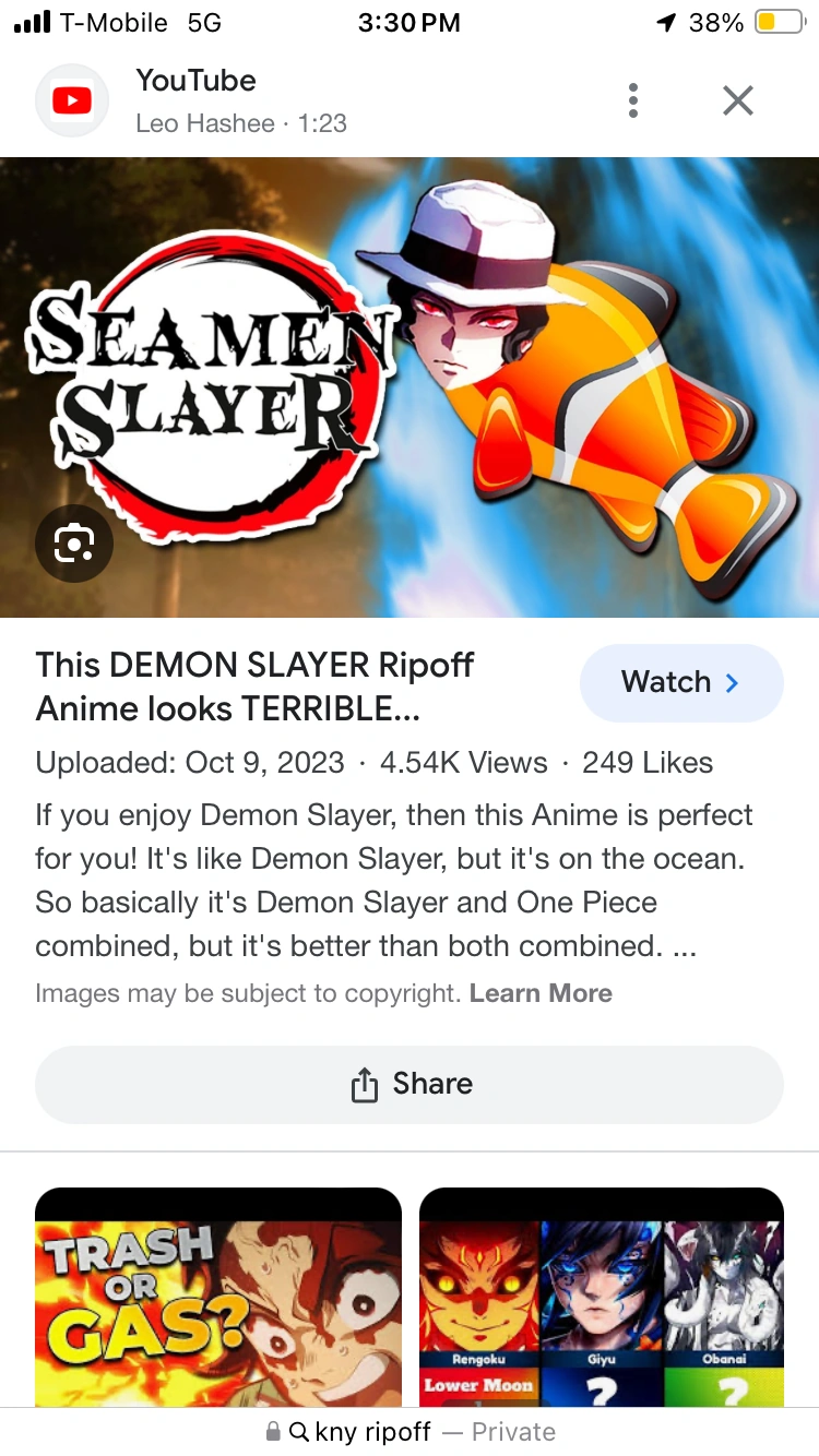 Ripoff Series Part 8, Are you telling me they made a One Piece and ...