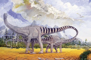 Discuss Everything About Dinopedia | Fandom