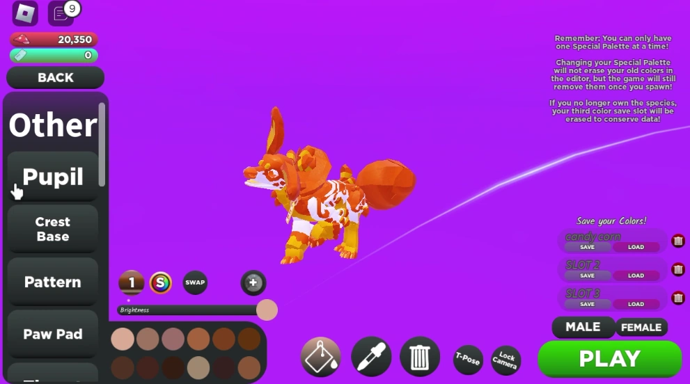 Say hello to Chichi the Rukig | Fandom