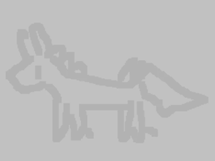 Discuss Everything About Creatures of Sonaria Wiki | Fandom