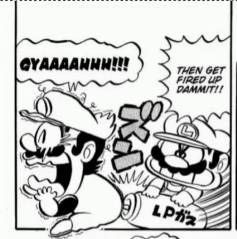 ever wondered how mario and luigi get their fire power from? | Fandom