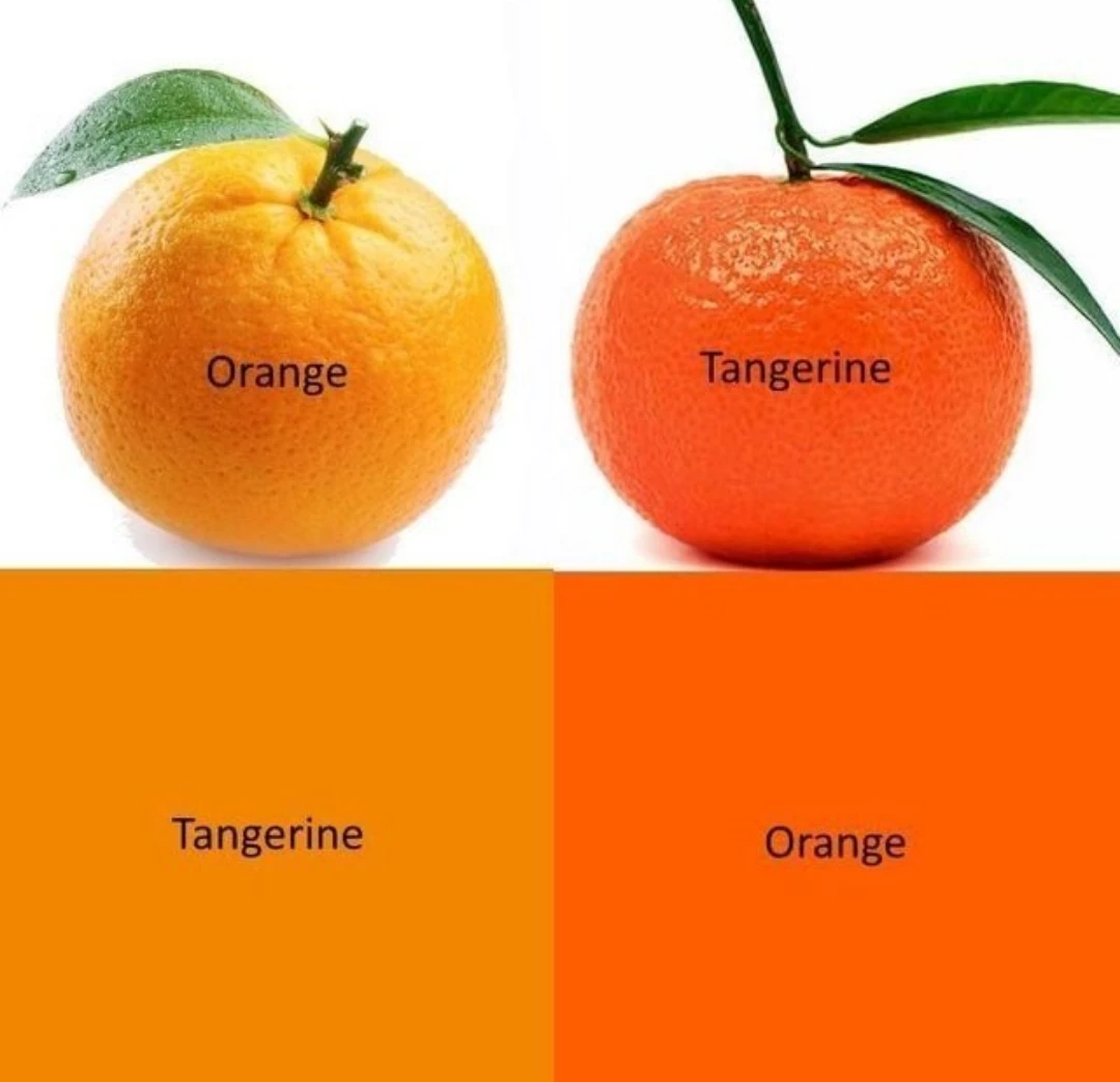 why is a orange called a orange? because of the color. | Fandom