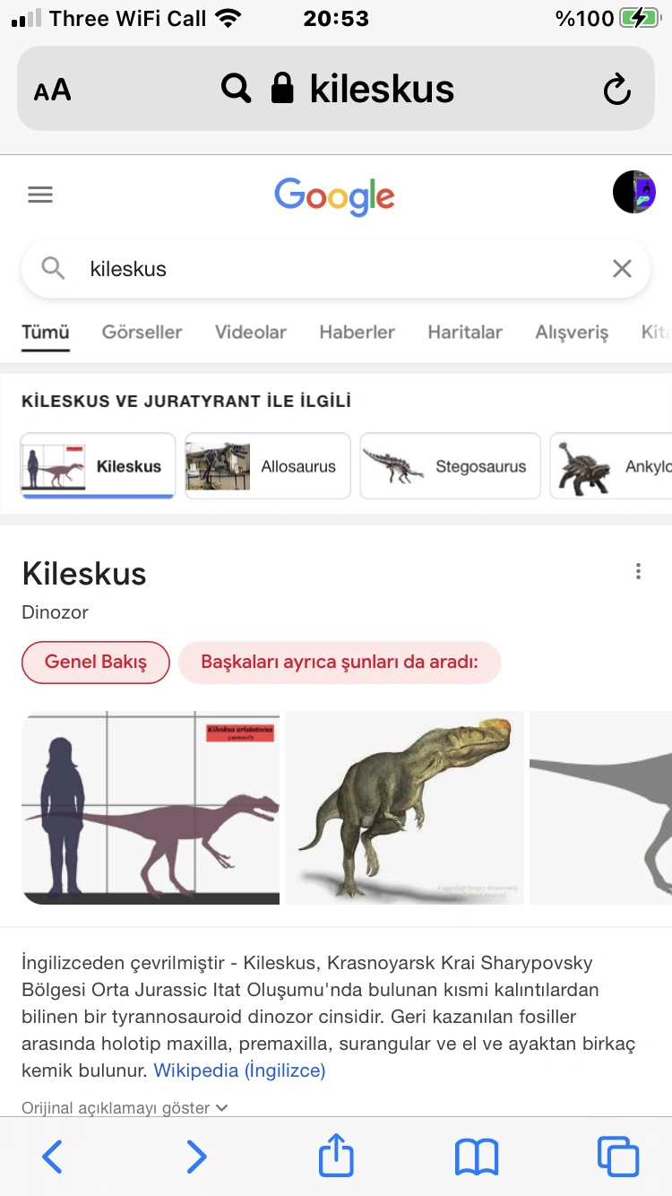 Underrated dinosaurs Part 1-Kileskus | Fandom