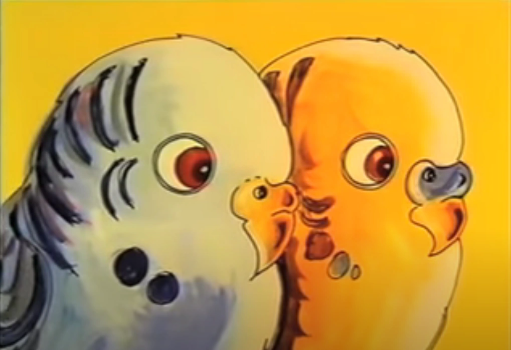 lost 80s animation about budgies (My Budgie Buddy) | Fandom
