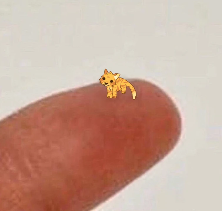 smallest creature ever recorded | Fandom