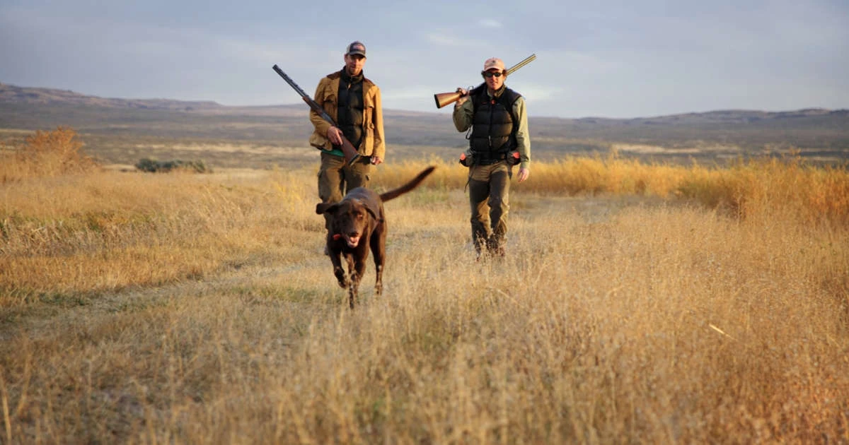 Aint no damn way | Fandom