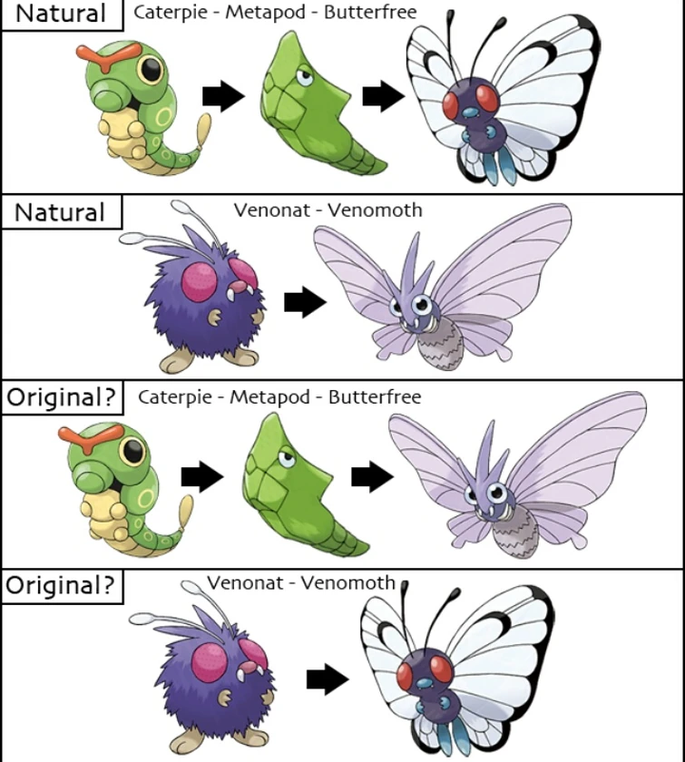 Pokémon Evolution Discussions #1 | Fandom