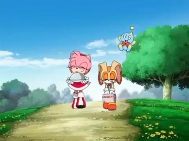 No wonder Tails chose Cosmo over Cream in Sonic X | Fandom