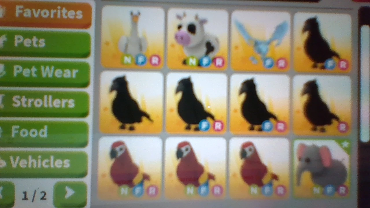 LF: mega crow or Mega parrot or neon crow or crow | Fandom