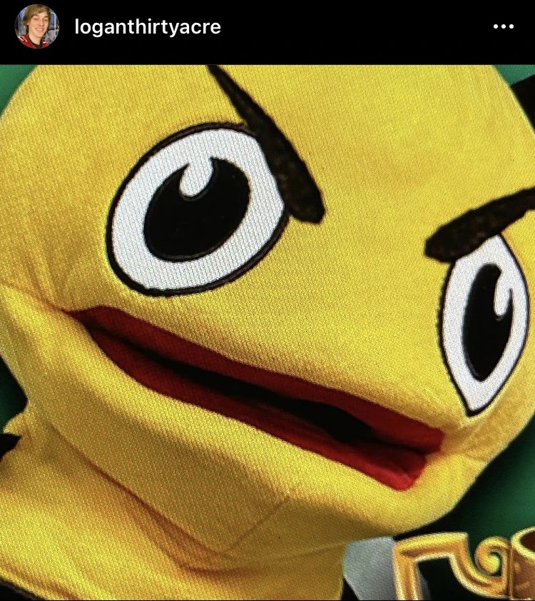 The next video might be a spelling bee video | Fandom