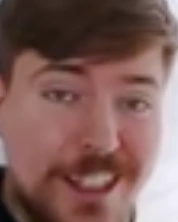Mr beast is on drugs | Fandom