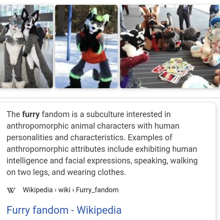 THE BEGINNING OF FUR-DAY | Fandom