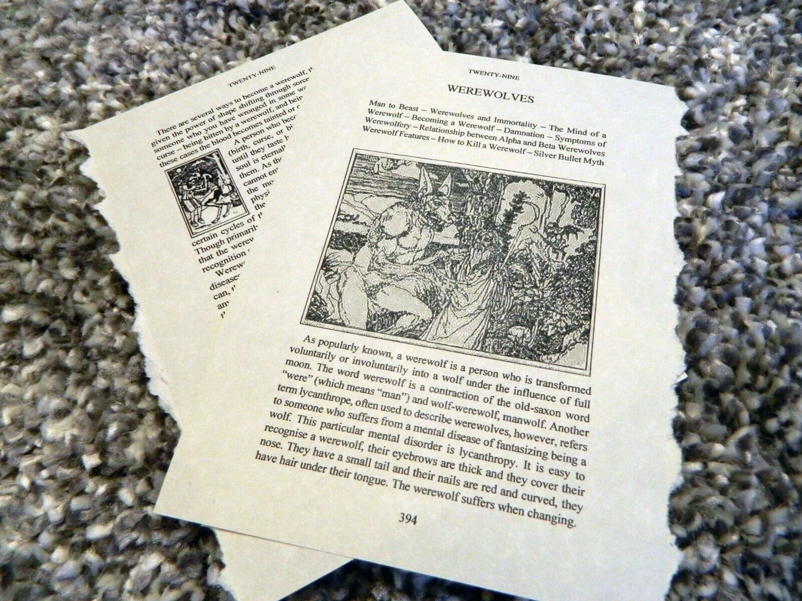 This is what is on page 394 | Fandom