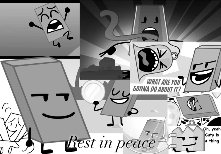 We must remember the fallen! The ones who we lost in BFDI:TPOT today ...