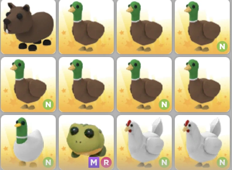 Discuss Everything About Adopt Me! Wiki | Fandom