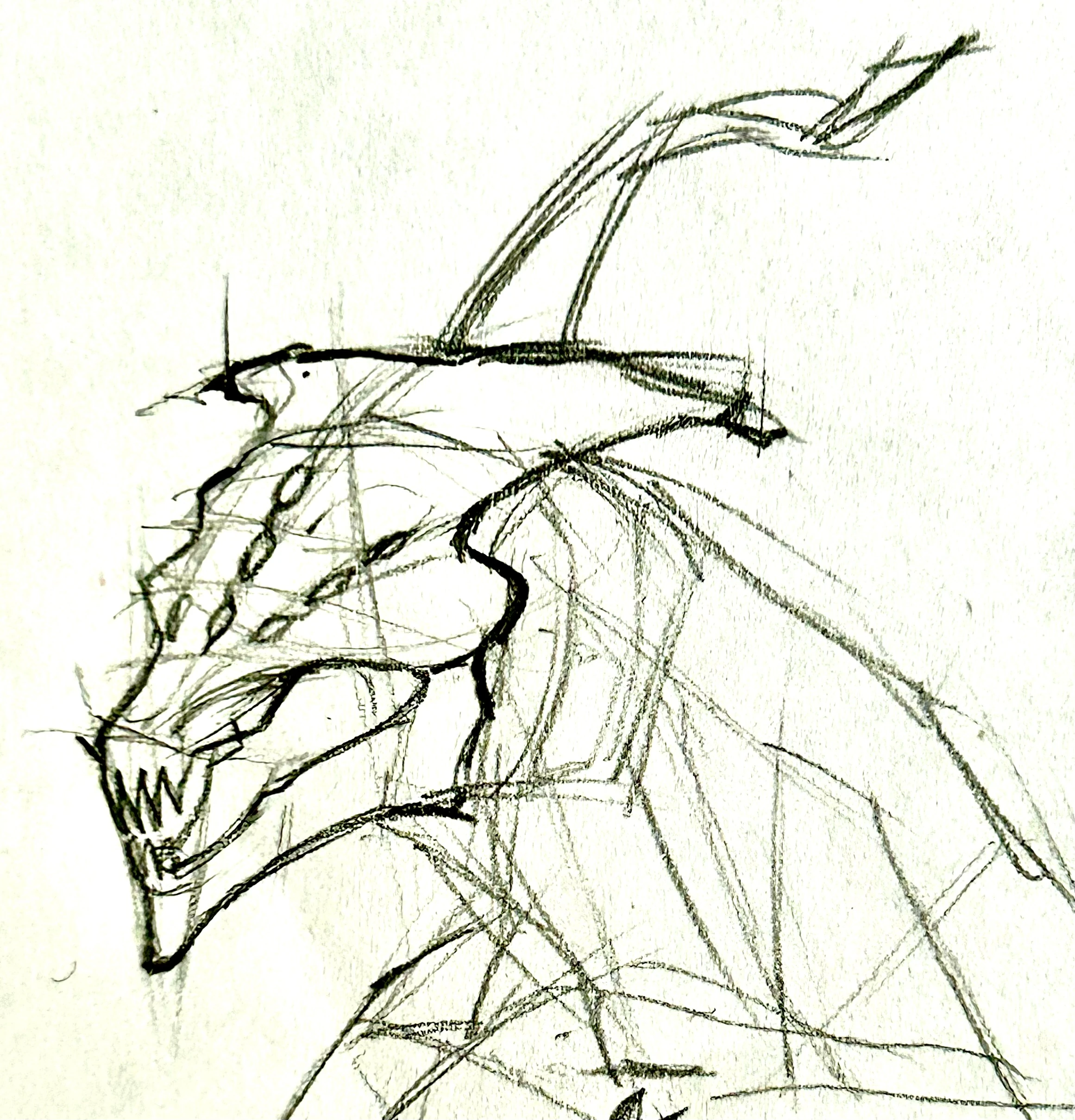 Korathos headshot | Fandom