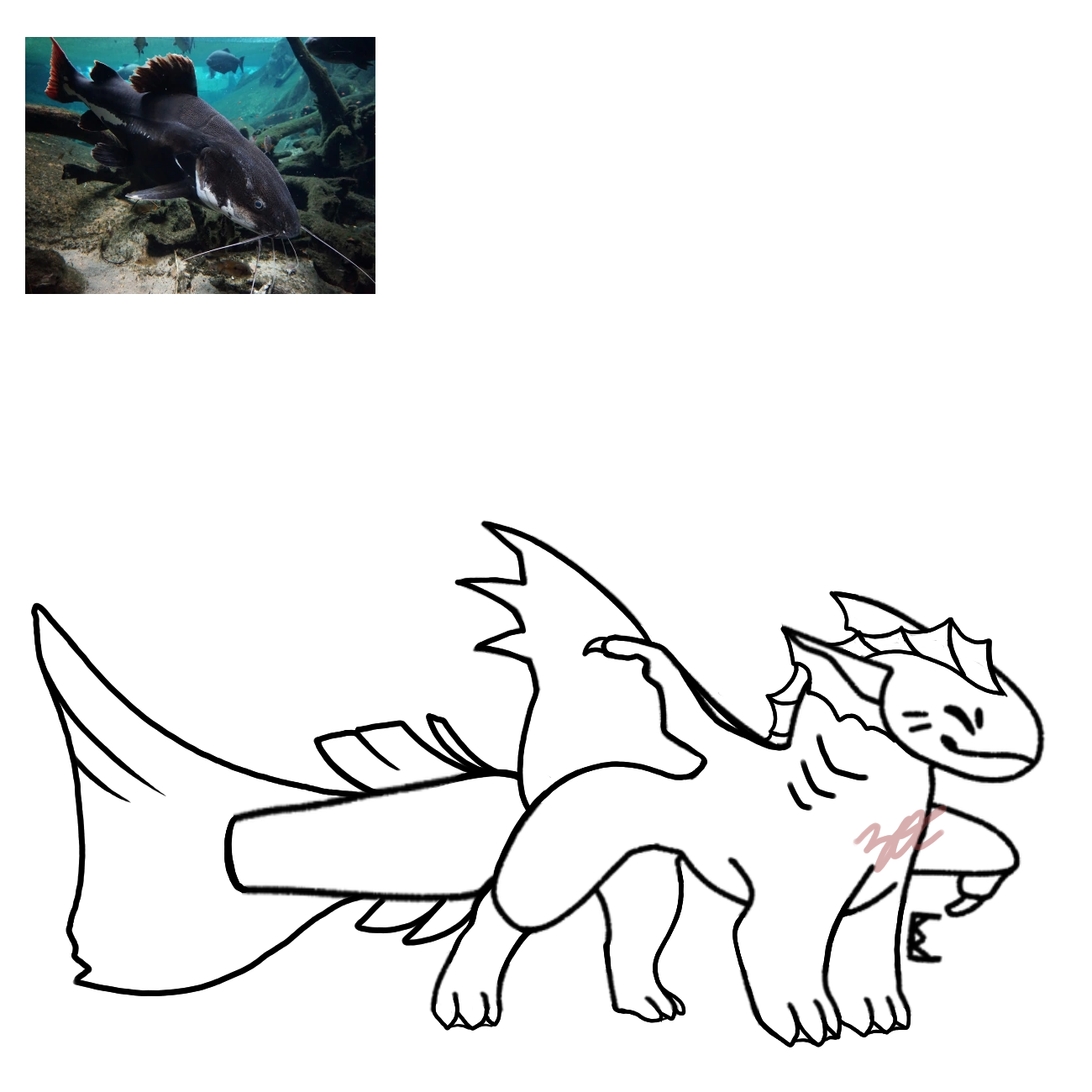 Making a catfish dragon | Fandom