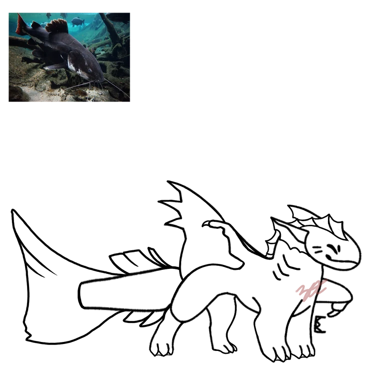 Making a catfish dragon | Fandom