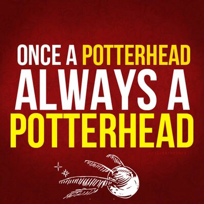 I am new! A huge potterhead too! | Fandom