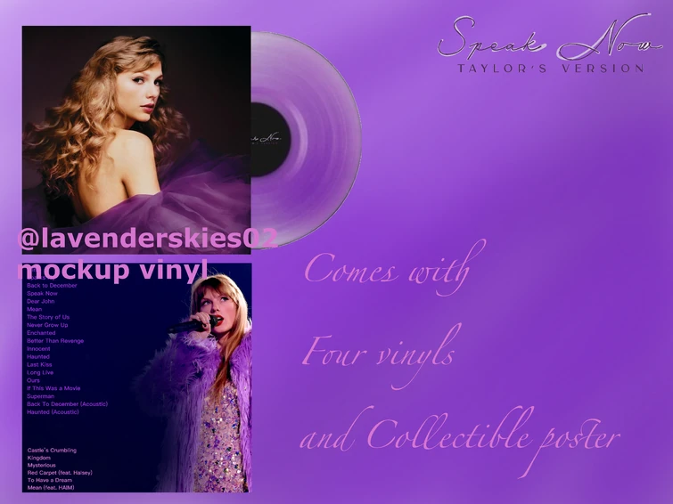My mockup vinyl of Speak Now (TV) | Fandom