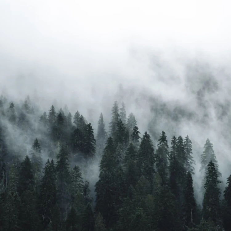 Discuss Everything About Riordan Wiki | FANDOM