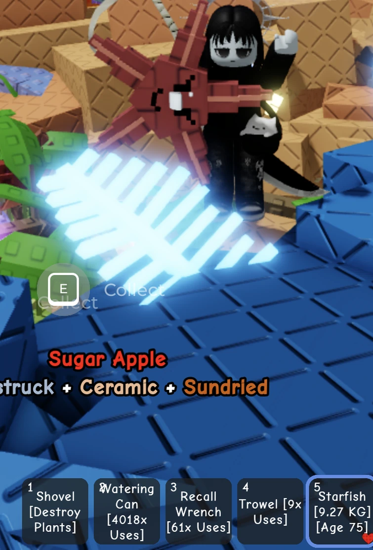 MY STARFISH IS AGE 75!!! | Fandom