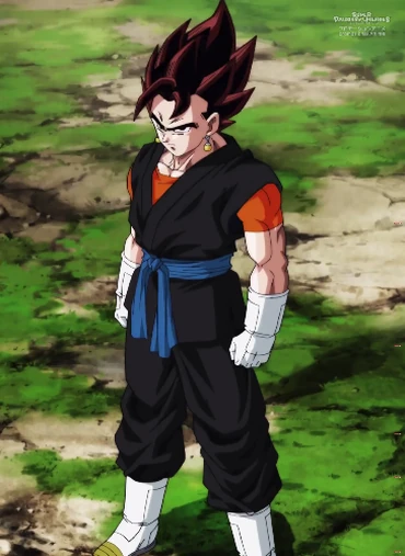 Which Of These Is The Best Vegito Outfit | Fandom