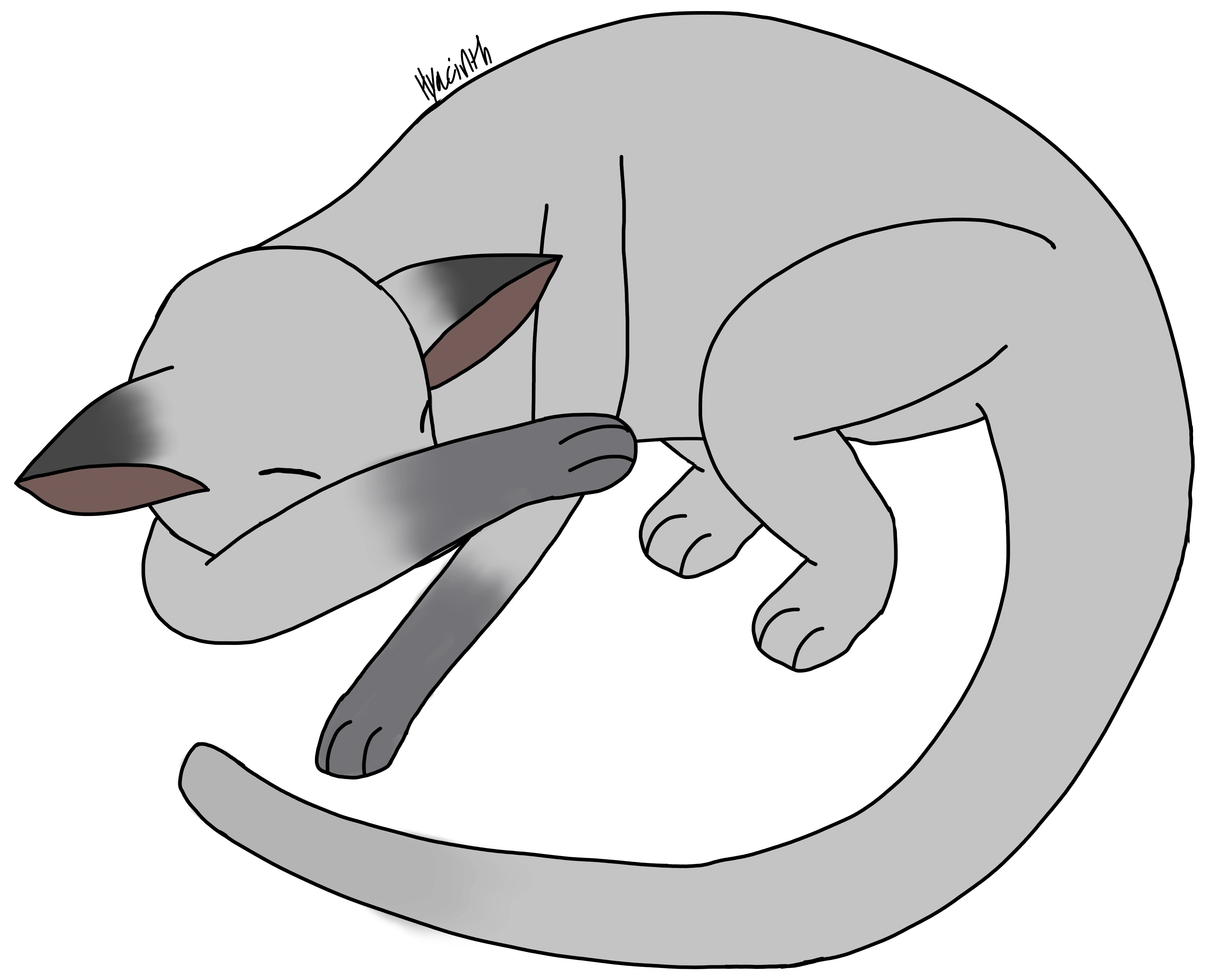 Working on my Warriors OCs! | Off-topic art | CW for scars | Fandom