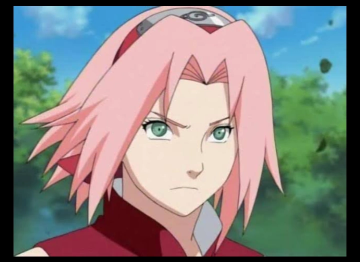 No offence to Sakura fans | Fandom