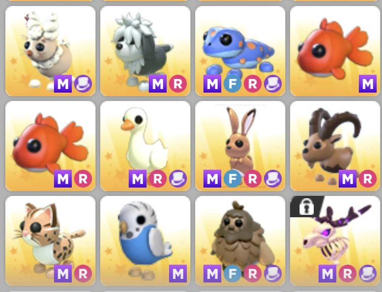 My megas reveal! ik i already did one but im updating bcs like it ...