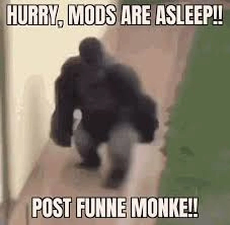 funne monke | Fandom
