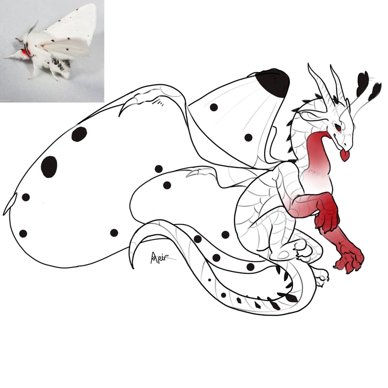 Design/basefill dump | Fandom