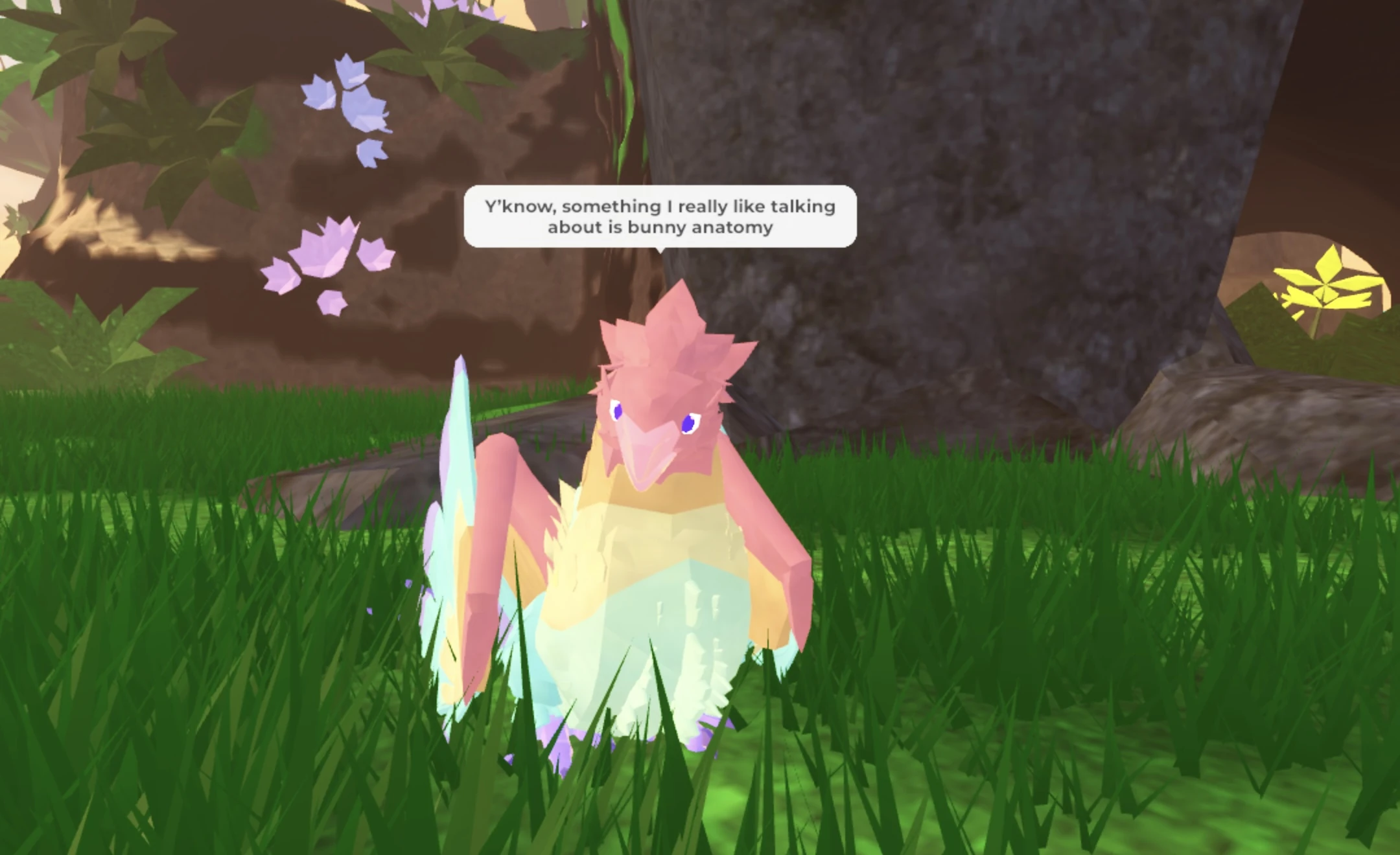 Anatomy lessons with rainbow bird and other shenanigans | Fandom