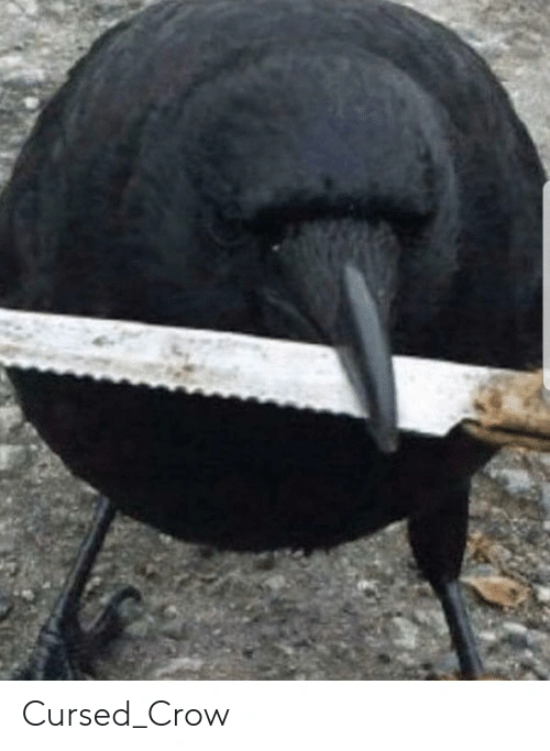 guys help crow uses his super | Fandom