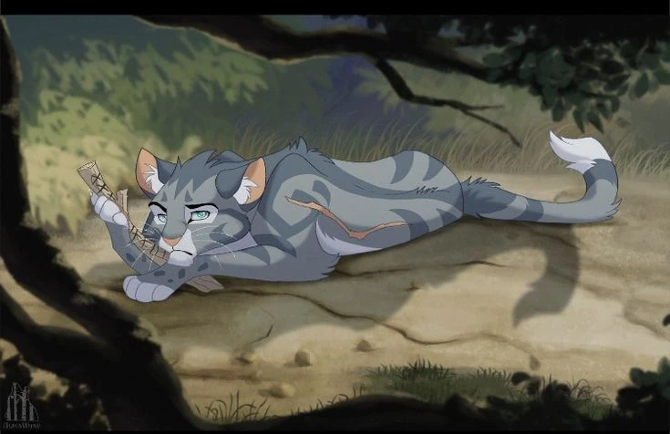 The new cats in Sunrise (and the ones that changed ranks) | Fandom