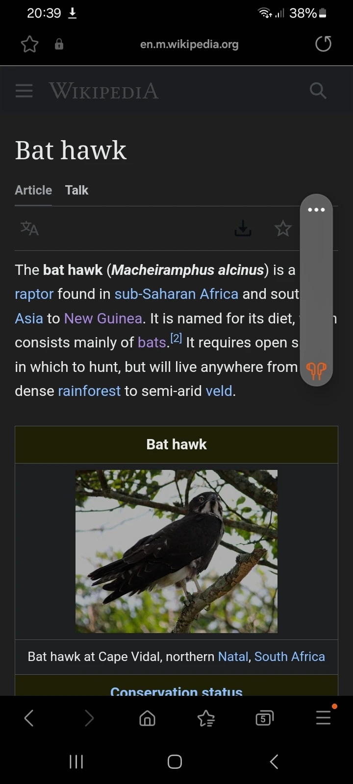 Jet X Rouge fanchild | Fandom