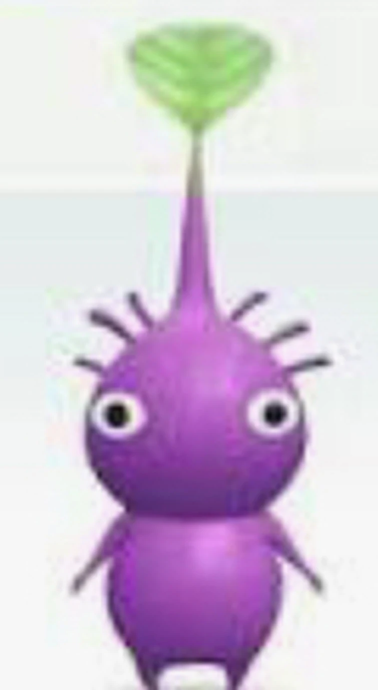 EVERYTHING IS PURBLE :0 | Fandom