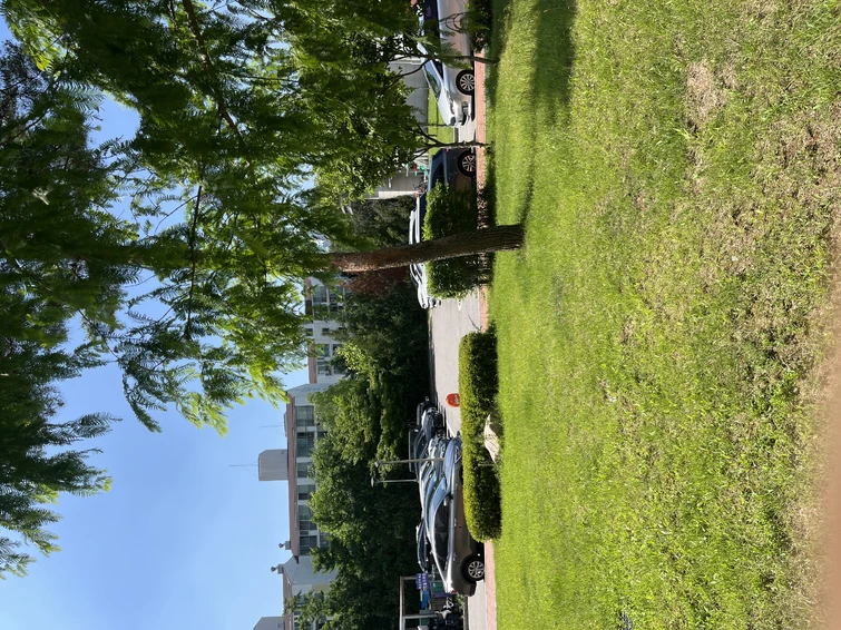 It’s a beautiful day outside | Fandom