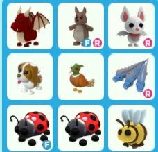 How close am I to my dp the NFR Phoenix? | Fandom