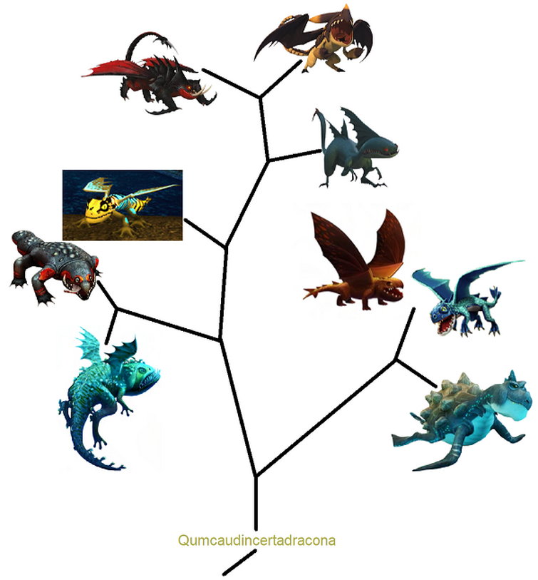 Dragon Classification Project- Part 3 | Fandom