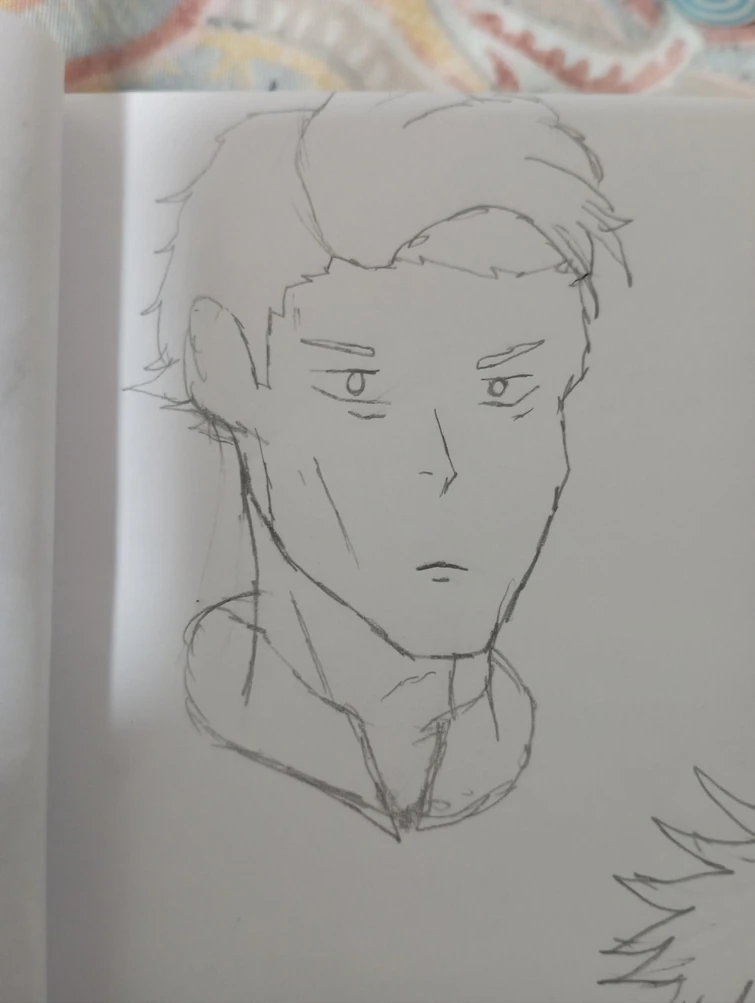Unfortunately,drawing an anime character for the first time is not ...