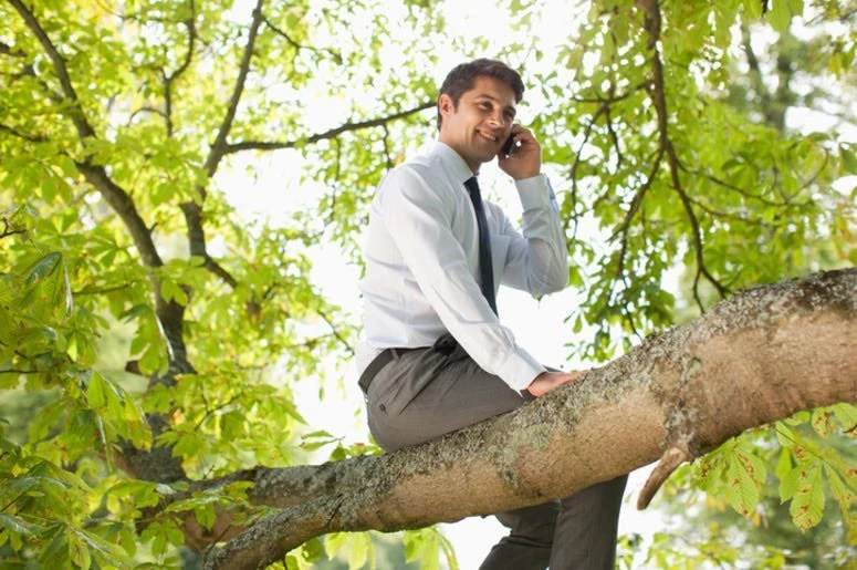 Goodbye world | Fandom