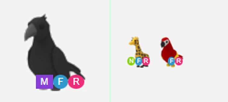 was the NFR giraffe + parrot over? what d'ya think | Fandom