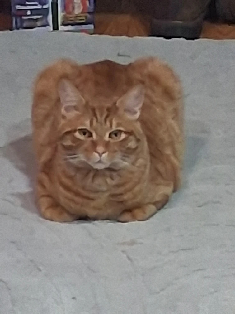 loaf | Fandom
