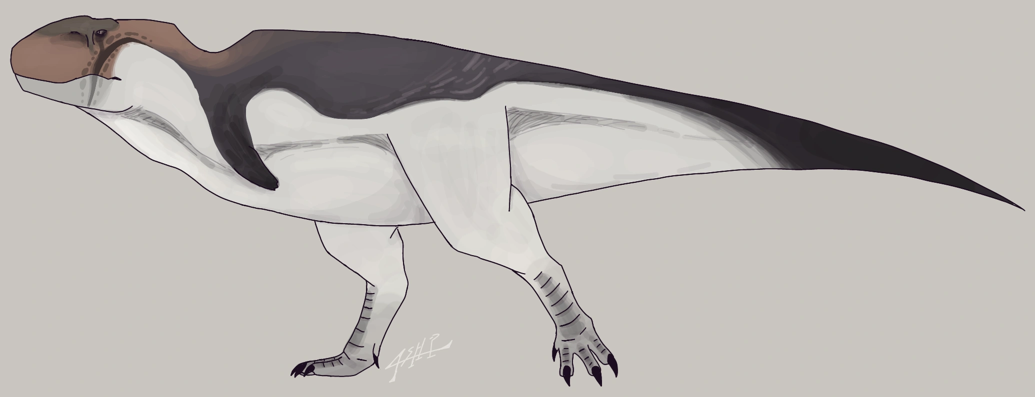 Rugops primus drawings | Fandom