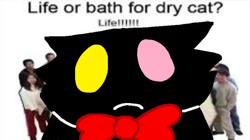 dry cat,,,,,,,,, | Fandom