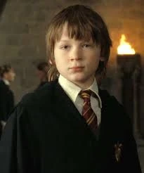 The Marauders in Hogwarts | Fandom