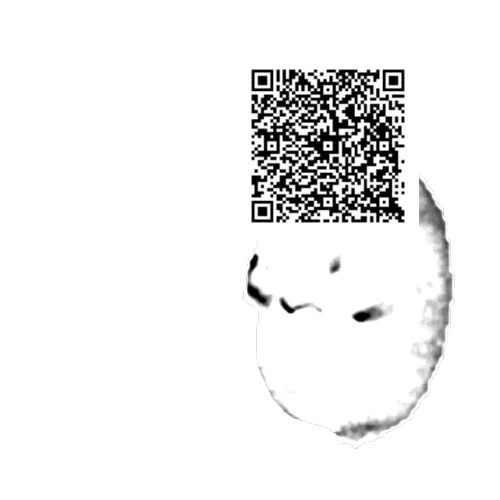 I made a chomikitized version of QR Code Chomik for funsies | Fandom