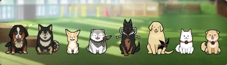 Here are some dogs | Fandom